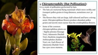 POLLINATION | PDF