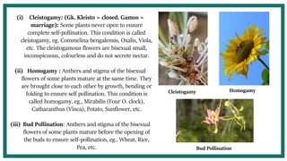 POLLINATION | PDF