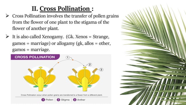 POLLINATION | PDF | Reproductive Health | Diseases and Conditions