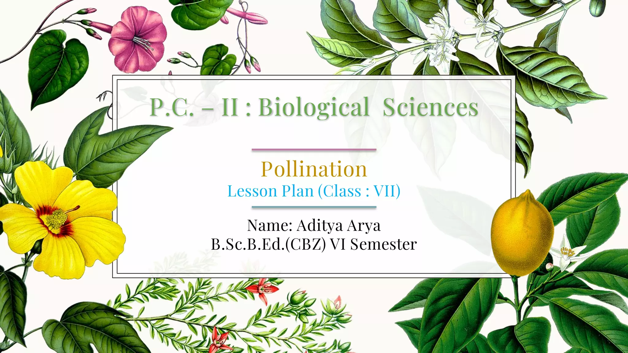 POLLINATION LESSON PLAN (PC: BIOLOGICAL SCIENCES) | PDF