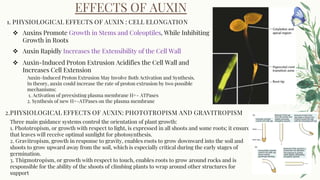 AUXIN BIOSYNTHESIS & FUNCTION | PDF