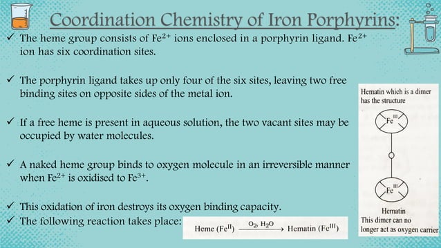 Metalloporphyrins with special reference to Iron porphyrins ( Haemoglobin and Myoglobin ) | PDF ...
