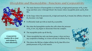 Metalloporphyrins with special reference to Iron porphyrins ...
