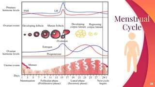 PHYSIOLOGY OF REPRODUCTION | PDF