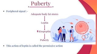 PHYSIOLOGY OF REPRODUCTION | PDF