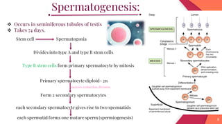 PHYSIOLOGY OF REPRODUCTION | PDF