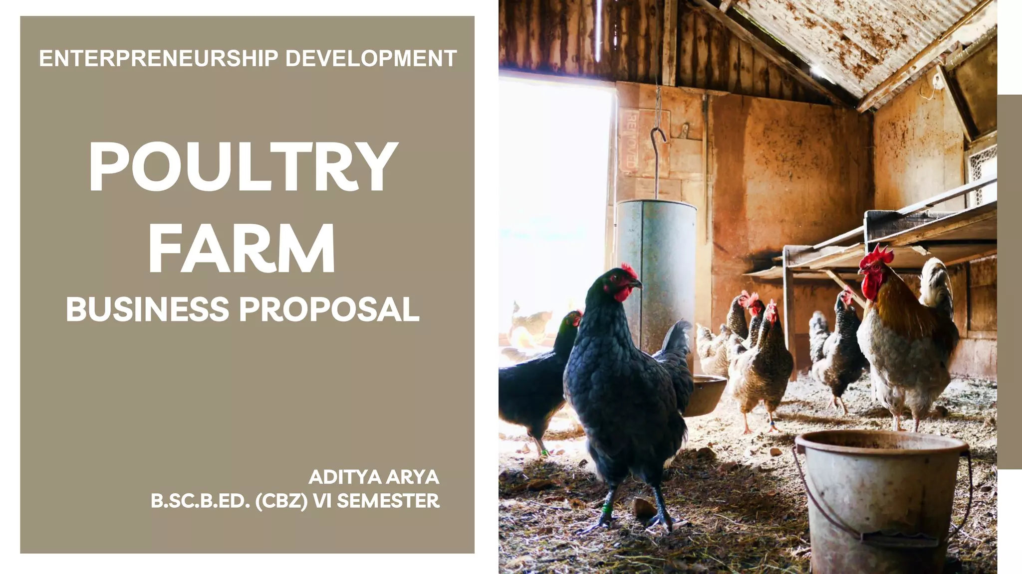 HAPPY CHICK BUSINESS PLAN/ PROPOSAL | PDF