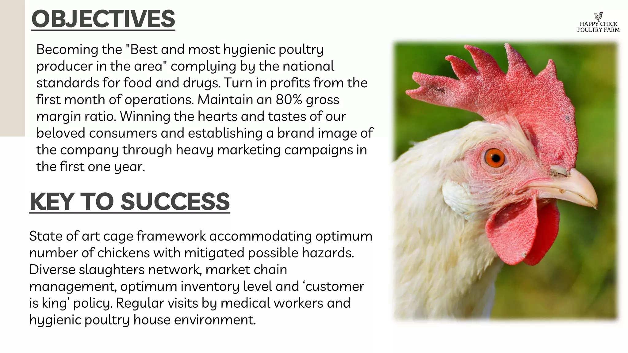 HAPPY CHICK BUSINESS PLAN/ PROPOSAL | PDF