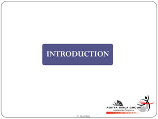 Aditya Birla Group Case Study: Online Branding (ppt) | PDF