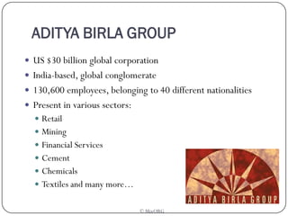 Aditya Birla Group Case Study: Online Branding (ppt) | PDF