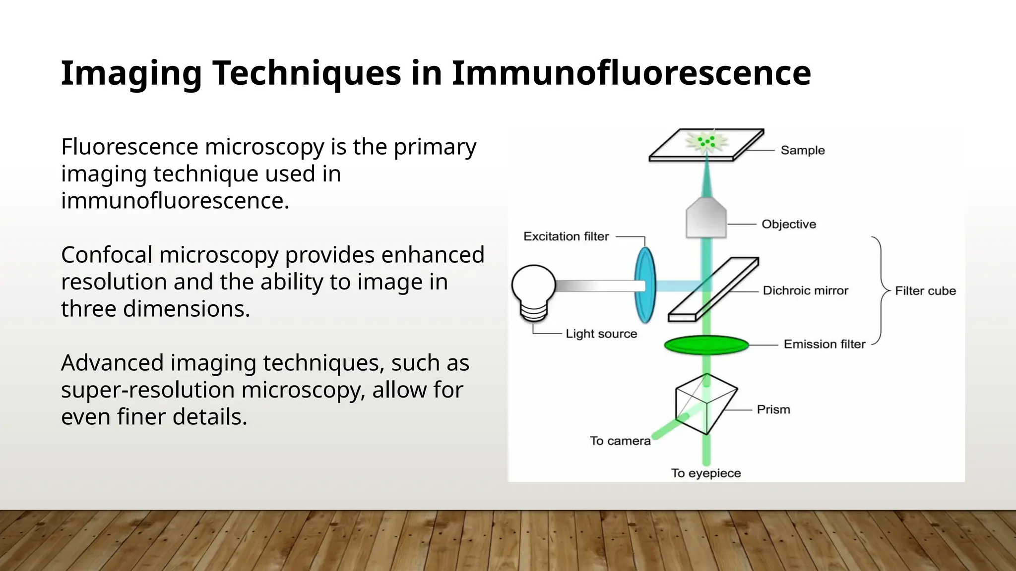 Immunofluorescence Reactions And Immuno-affinity Chromatography (6).pptx
