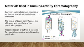 Immunofluorescence Reactions And Immuno-affinity Chromatography (6).pptx
