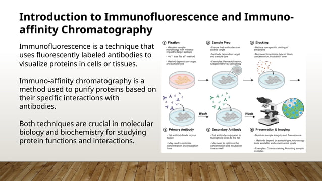 Immunofluorescence Reactions And Immuno-affinity Chromatography (6).pptx