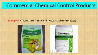 Chemical methods of plant disease management .pptx