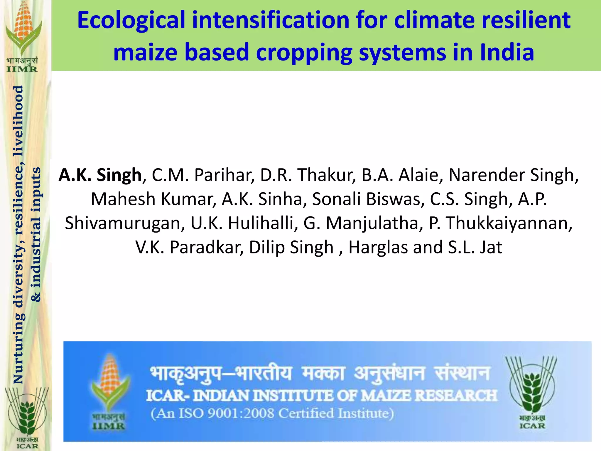 Ecological intensification for climate resilient maize | PPT