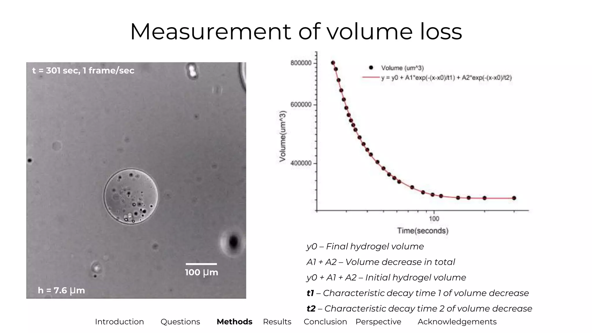 Nuclear Volume Dynamics under Confinement | PPTX