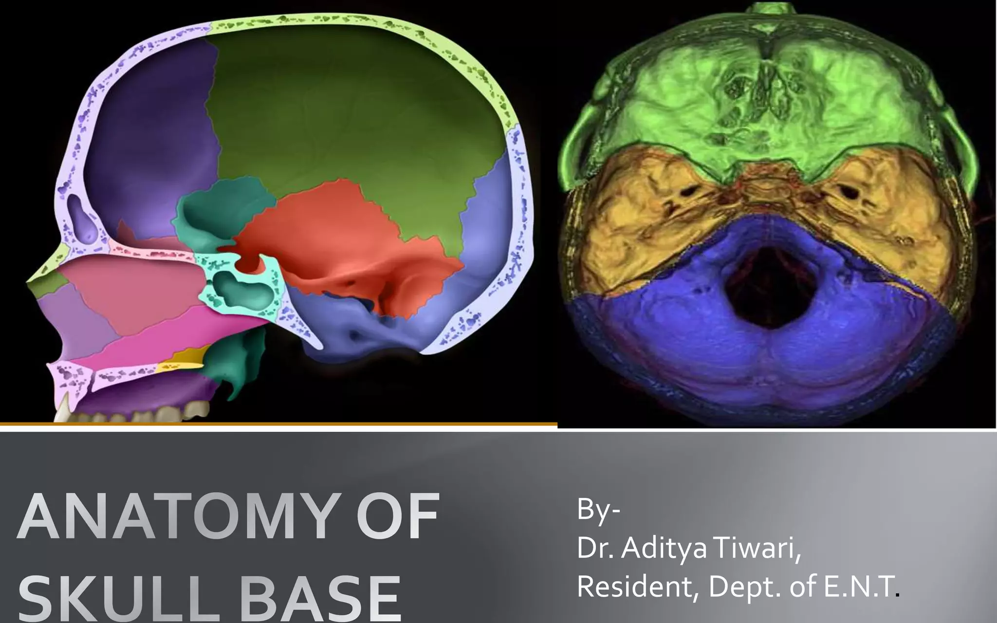 Skull base anatomy by Dr. Aditya Tiwari | PPTX
