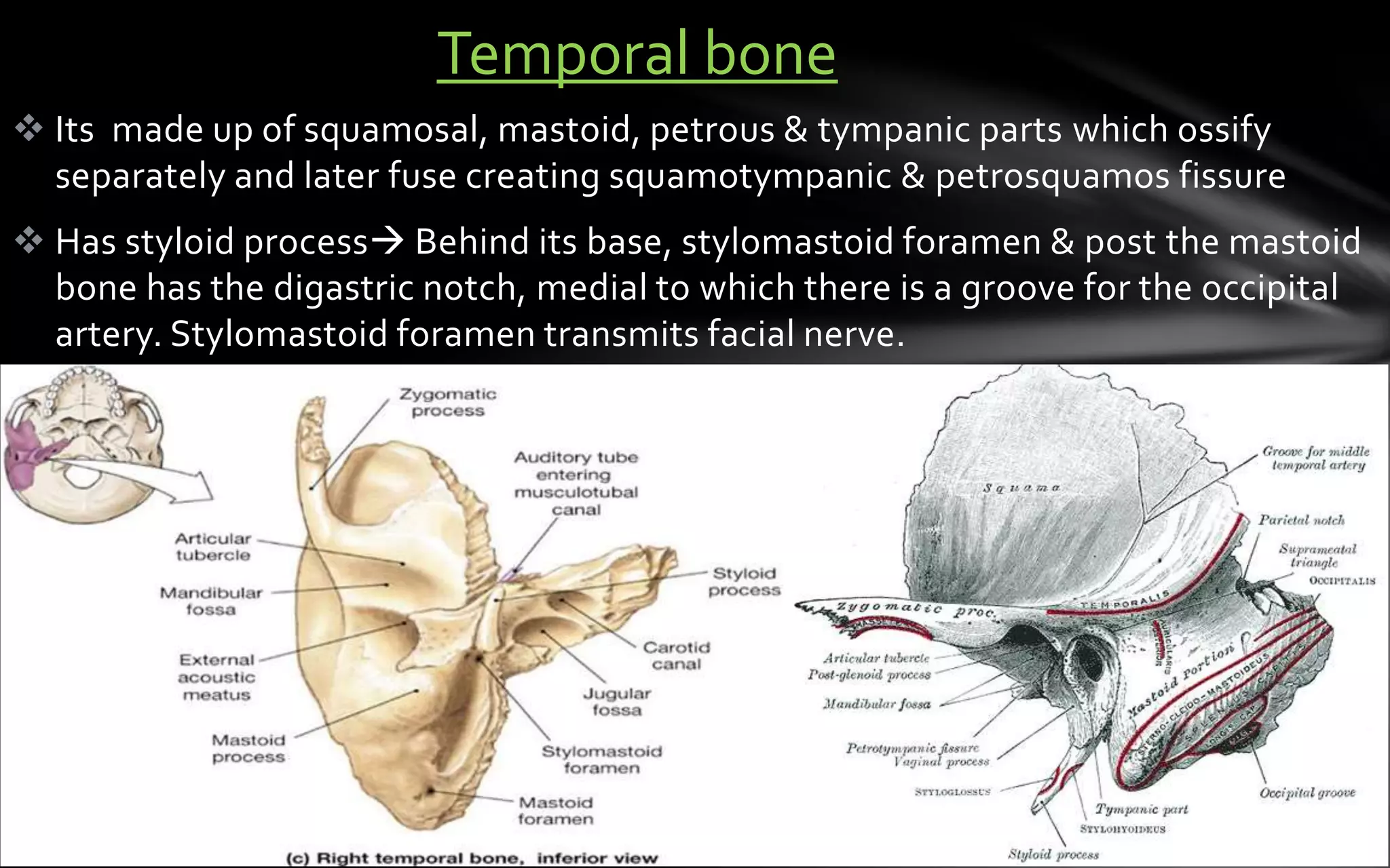 Skull base anatomy by Dr. Aditya Tiwari | PPTX