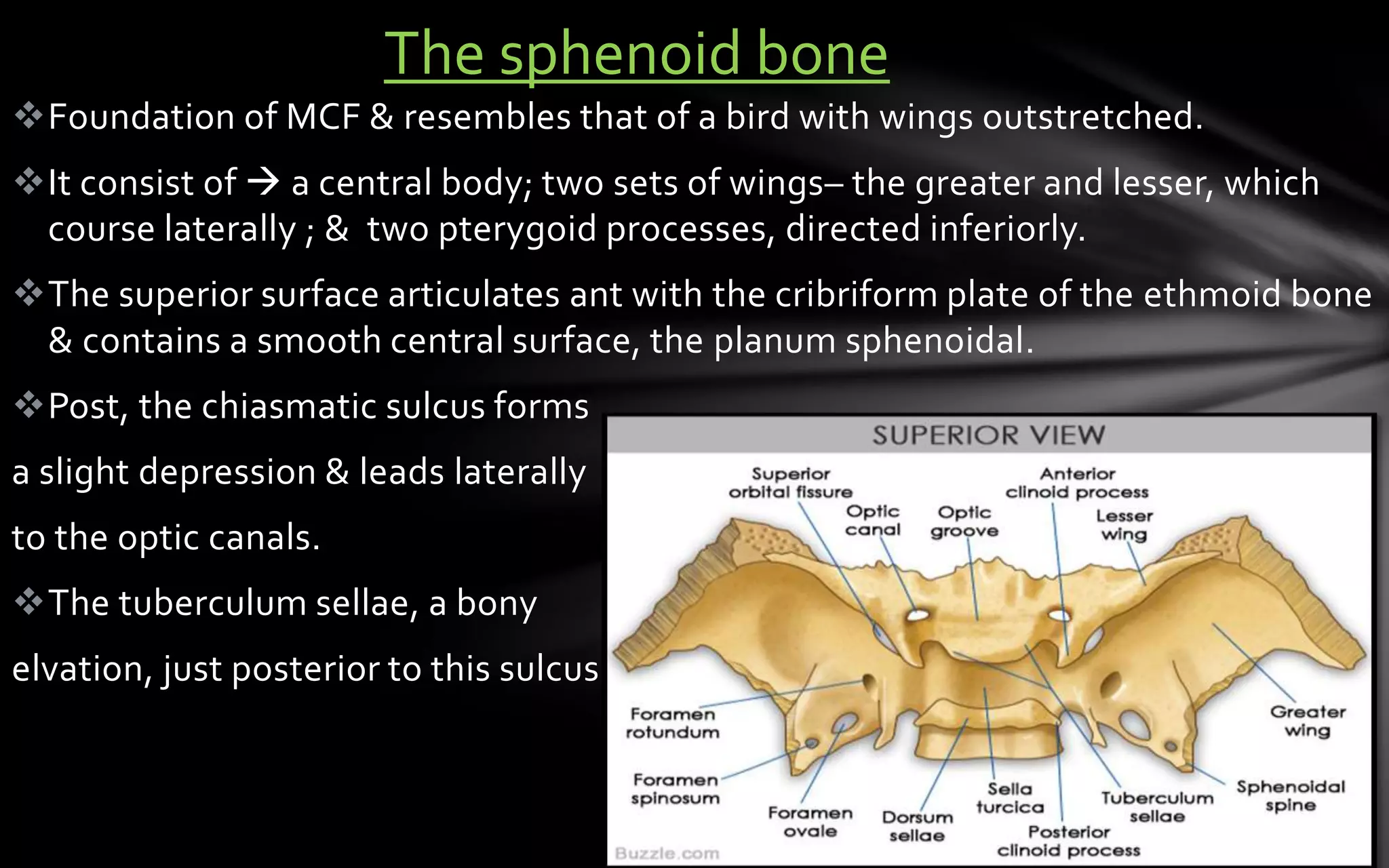 Skull base anatomy by Dr. Aditya Tiwari | PPTX