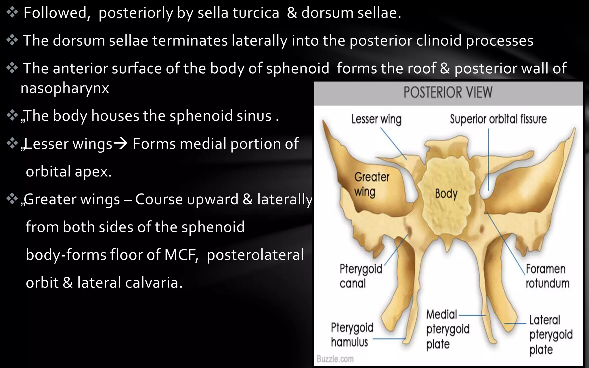 Skull base anatomy by Dr. Aditya Tiwari | PPTX