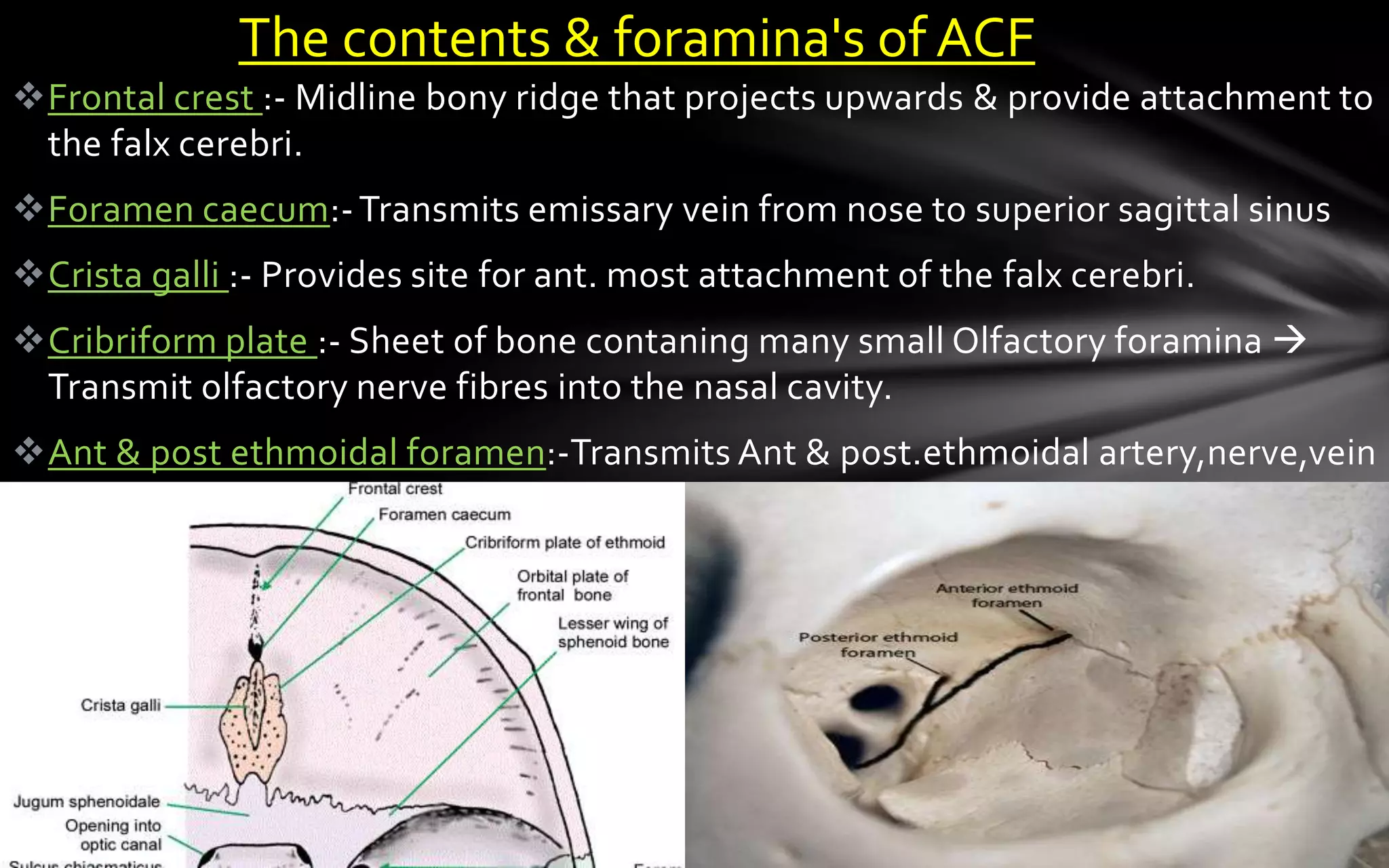 Skull base anatomy by Dr. Aditya Tiwari | PPTX