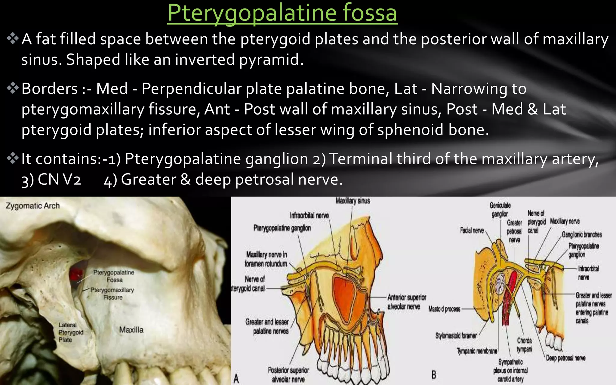 Skull base anatomy by Dr. Aditya Tiwari | PPTX