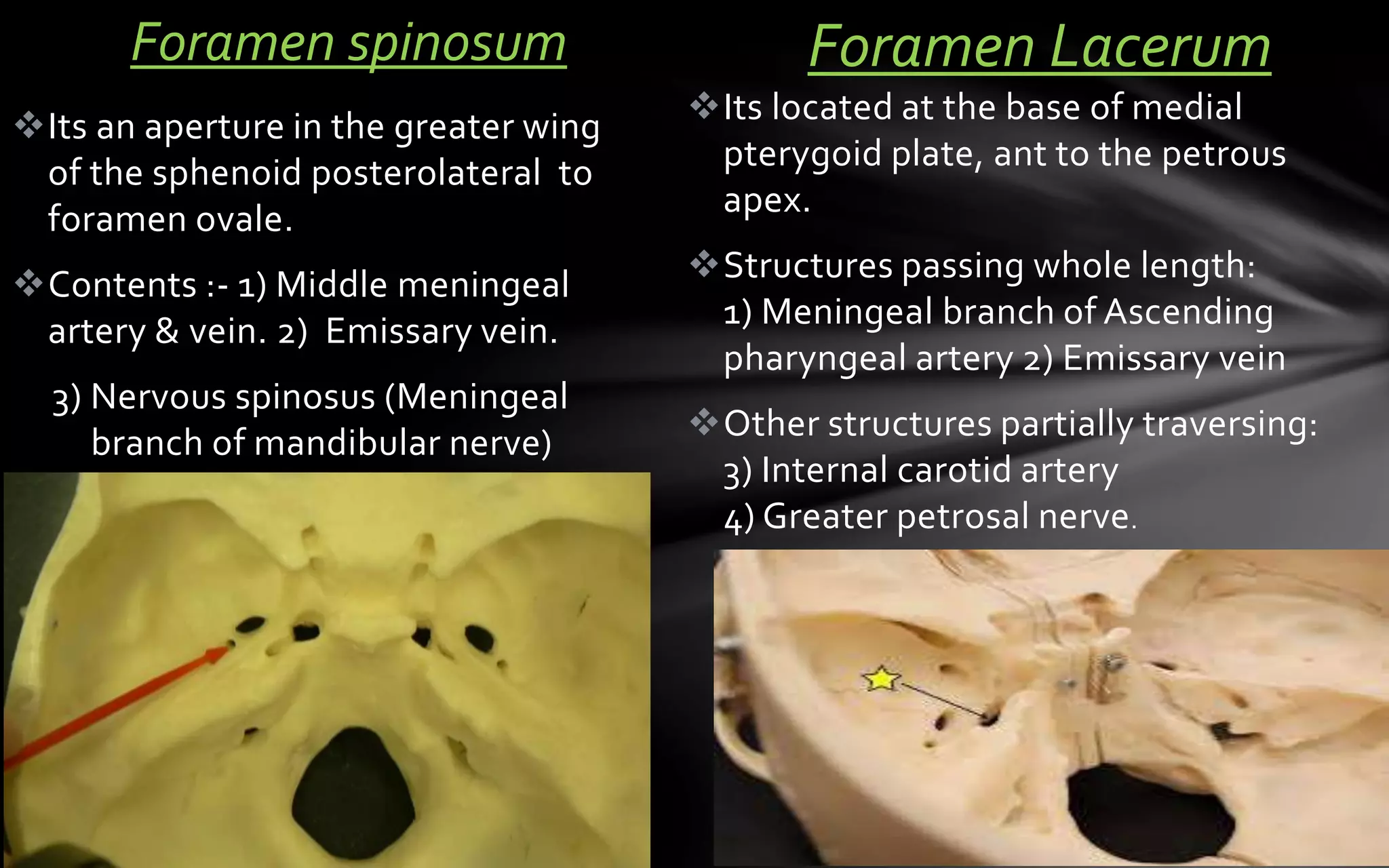 Skull base anatomy by Dr. Aditya Tiwari | PPTX