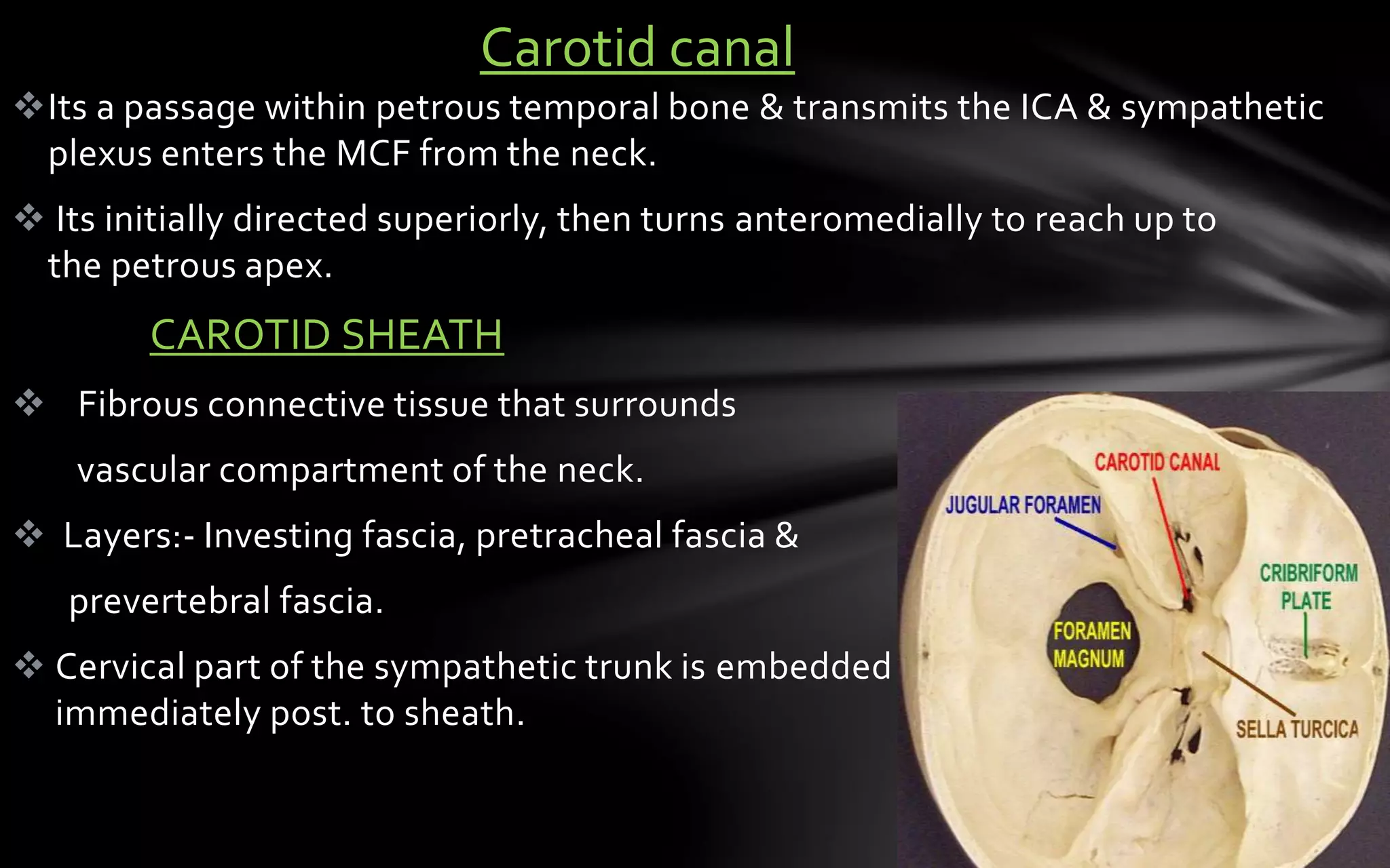 Skull base anatomy by Dr. Aditya Tiwari | PPTX