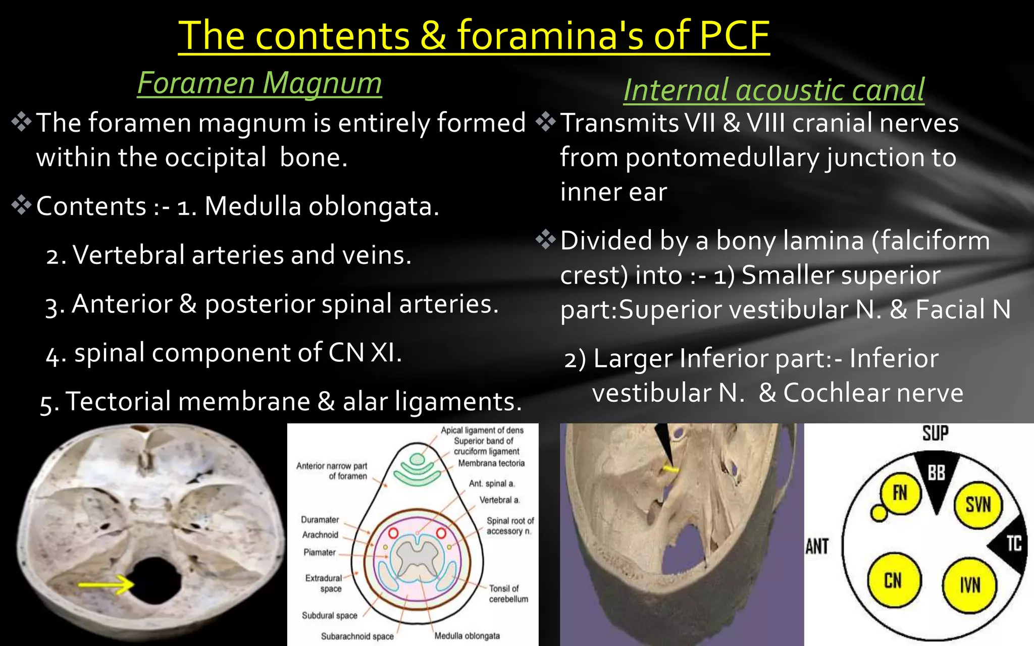 Skull base anatomy by Dr. Aditya Tiwari | PPTX