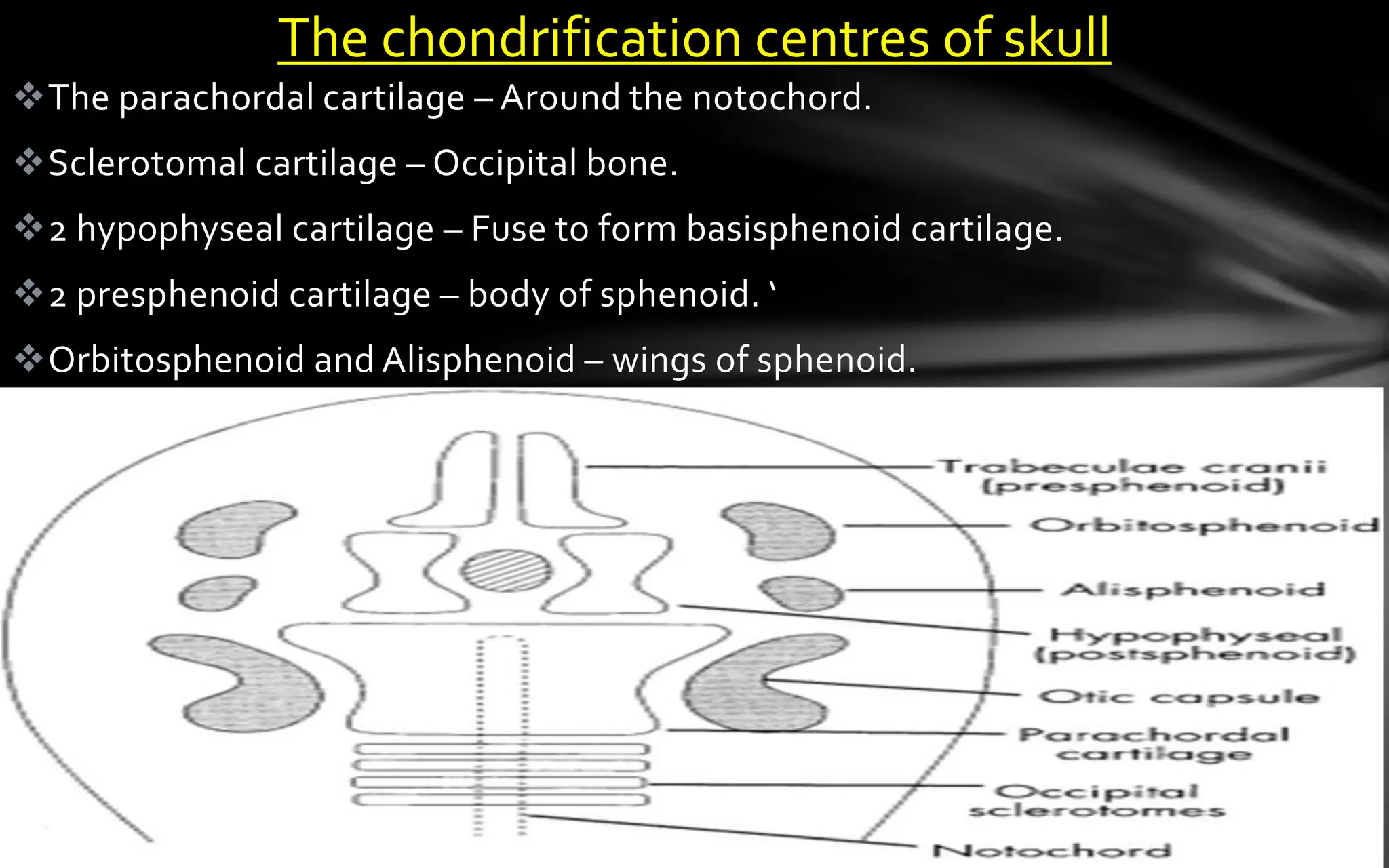 Skull base anatomy by Dr. Aditya Tiwari | PPTX
