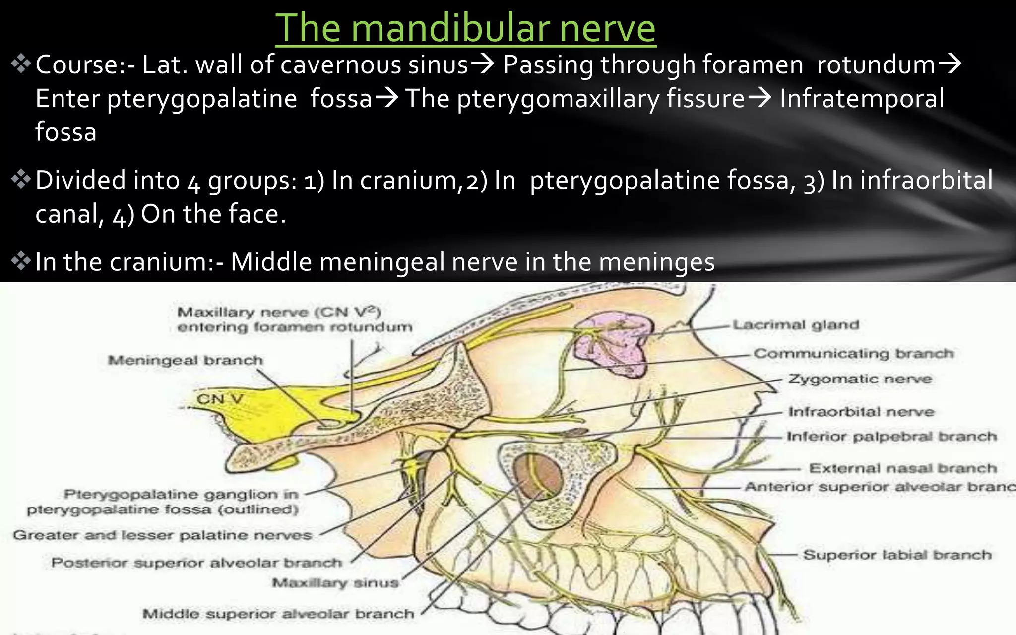 Skull base anatomy by Dr. Aditya Tiwari | PPTX