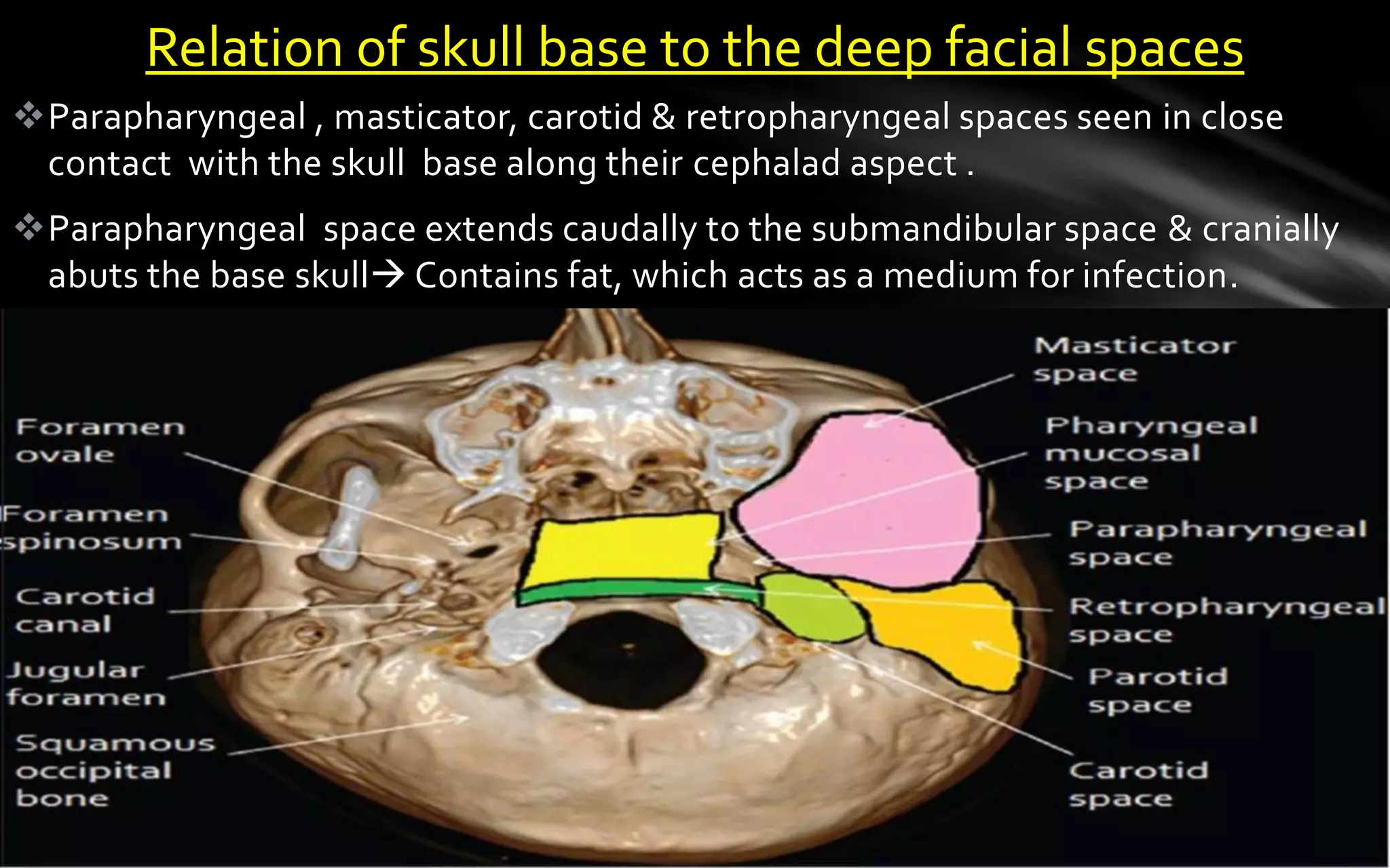 Skull base anatomy by Dr. Aditya Tiwari | PPTX