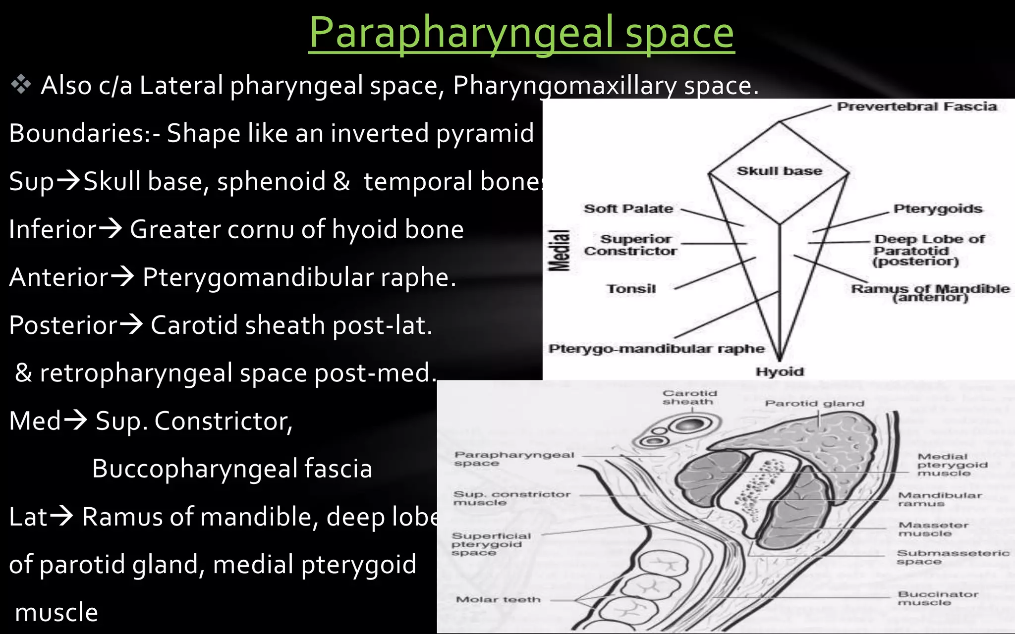 Skull base anatomy by Dr. Aditya Tiwari | PPTX