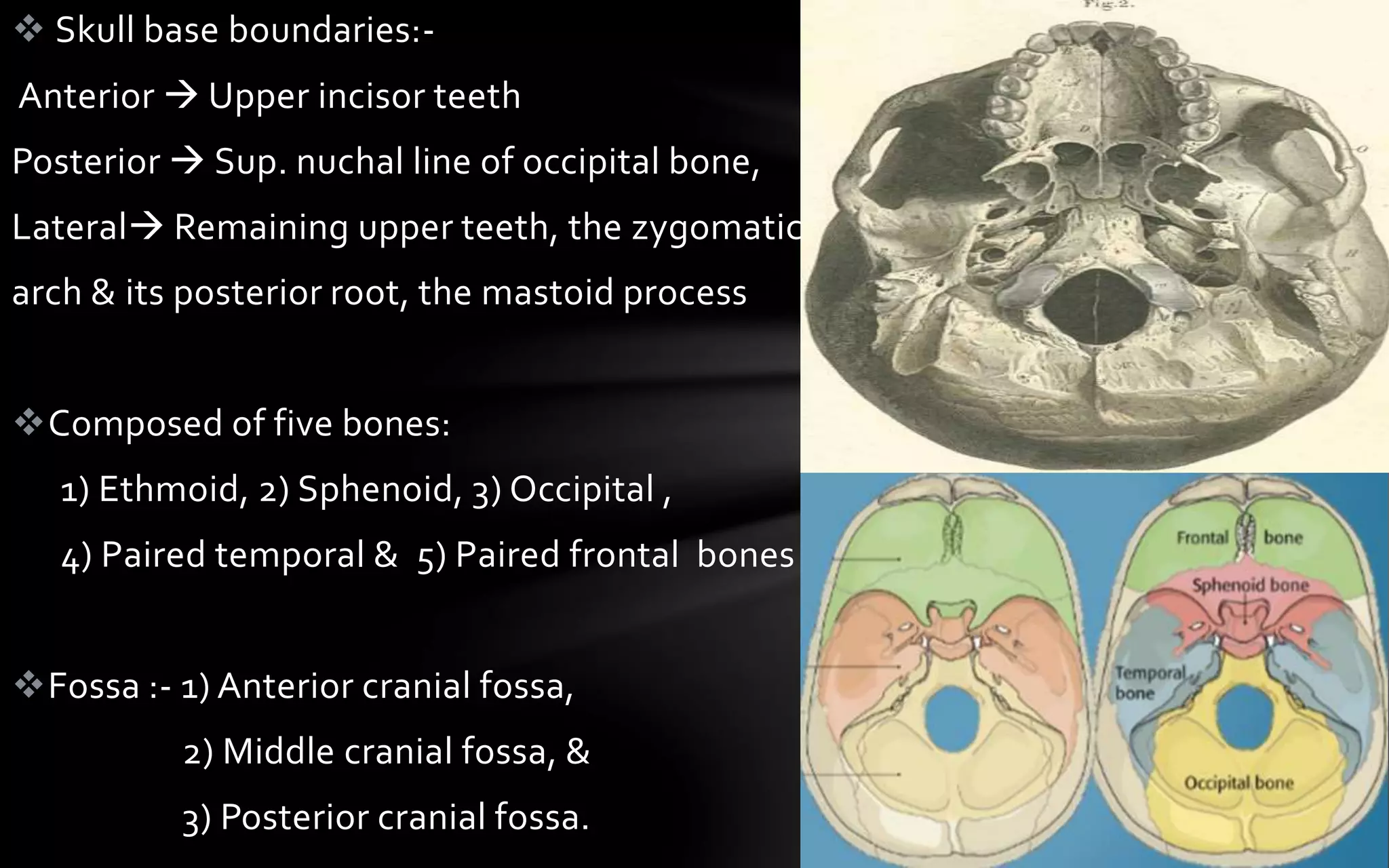 Skull base anatomy by Dr. Aditya Tiwari | PPTX