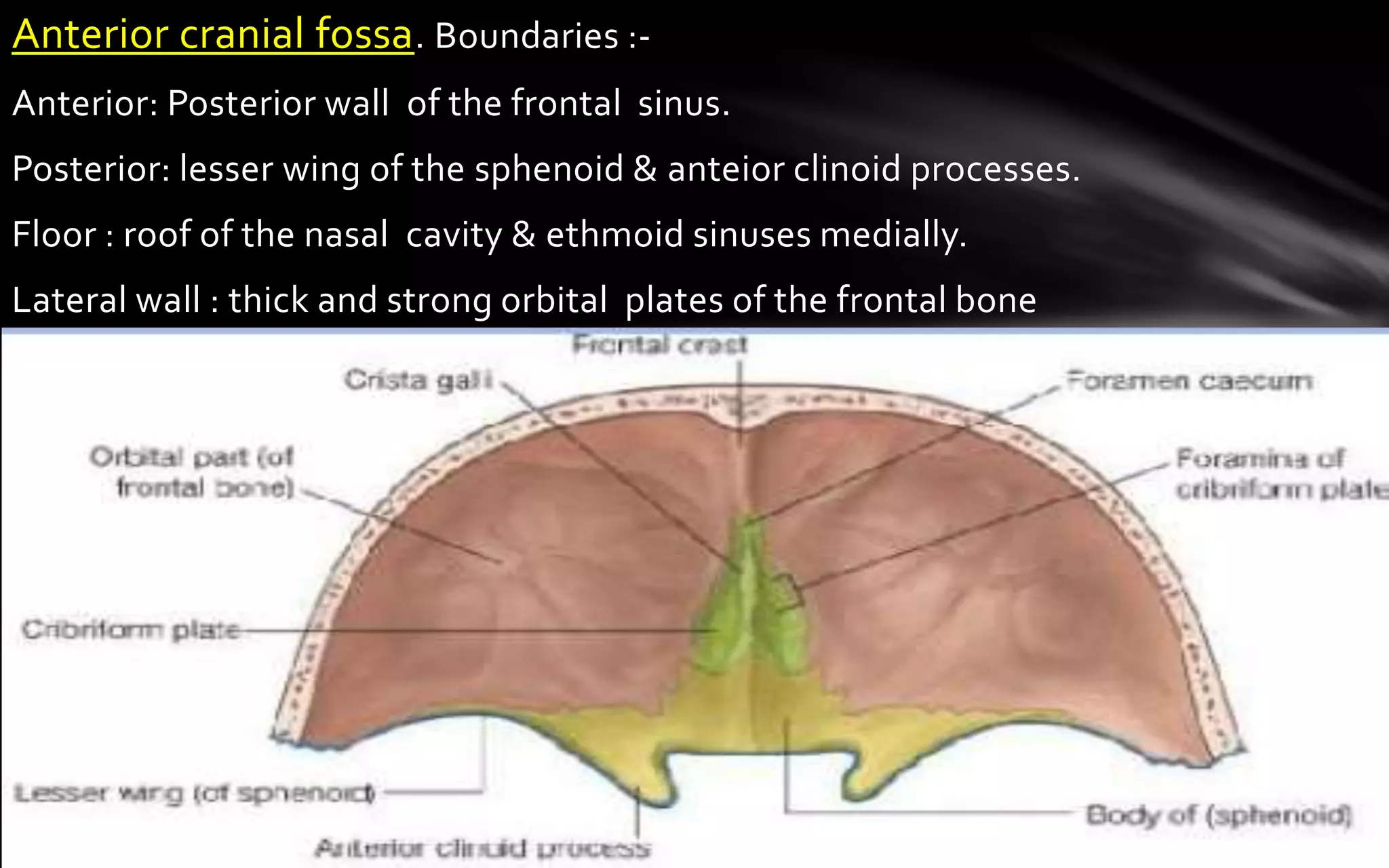 Skull base anatomy by Dr. Aditya Tiwari | PPTX