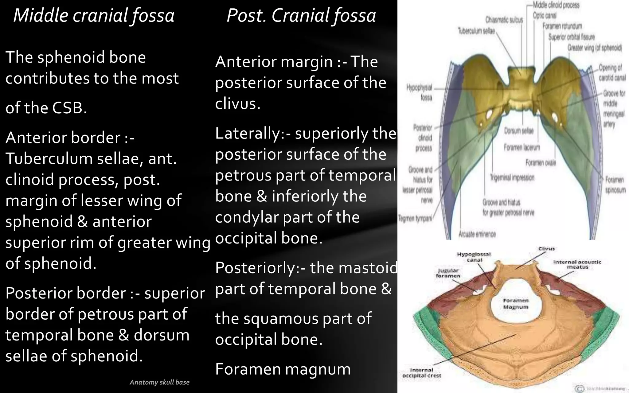 Skull base anatomy by Dr. Aditya Tiwari | PPTX