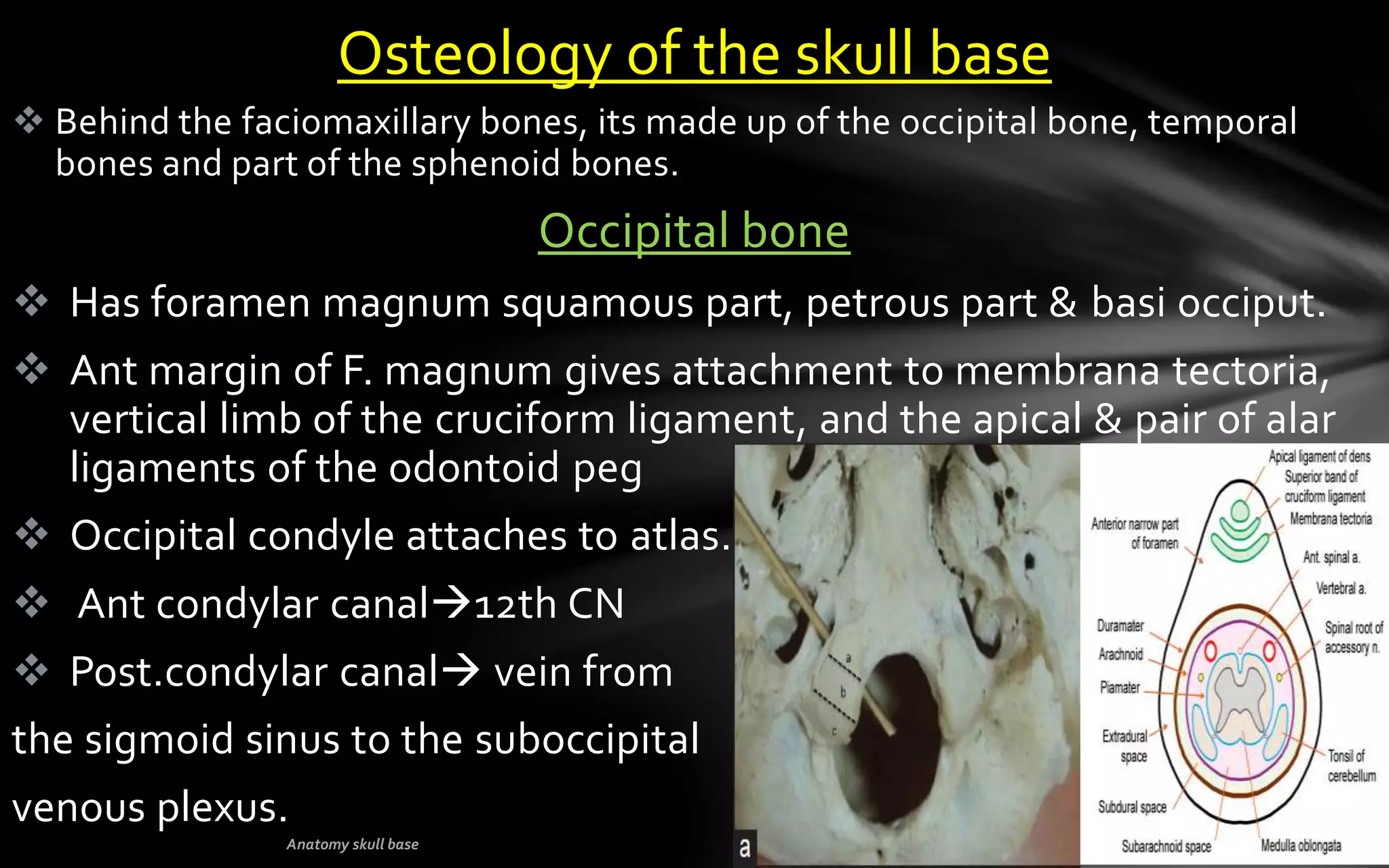 Skull base anatomy by Dr. Aditya Tiwari | PPTX
