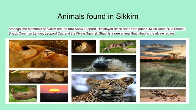 Sikkim project | Project on Sikkim | Sikkim ppt | PowerPoint ...