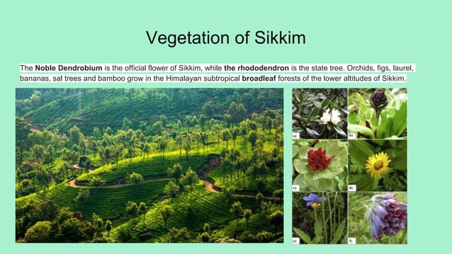 Sikkim project | Project on Sikkim | Sikkim ppt | PowerPoint ...