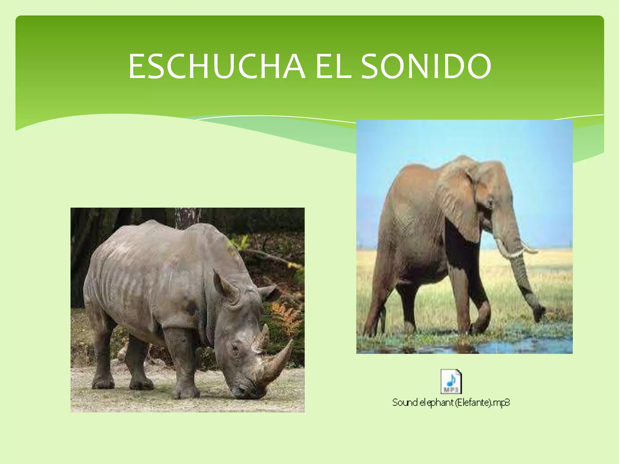 Adivina los sonidos | PPT