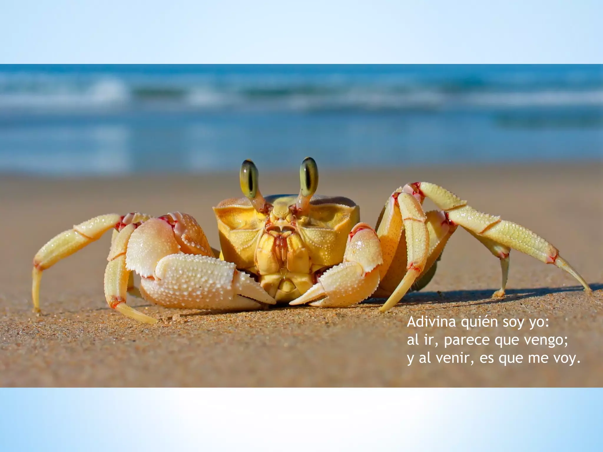 Adivinanzas playa | PPT