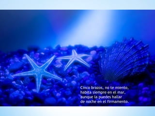Adivinanzas playa | PPT