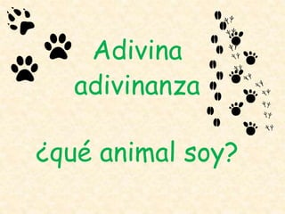 Adivinanzas animales | PPT