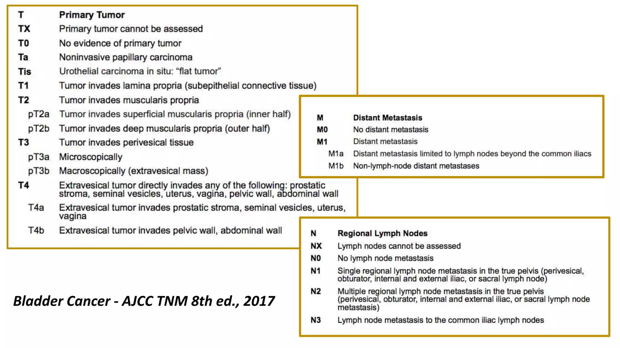 Neoadjuvant, adjuvant and systemic rescue for bladder cancer | PPTX
