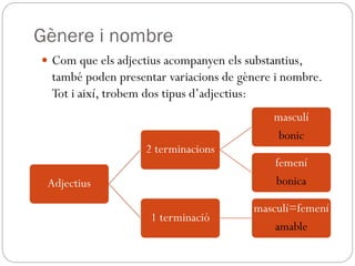 Morfologia de l'adjectiu qualificatiu | PDF