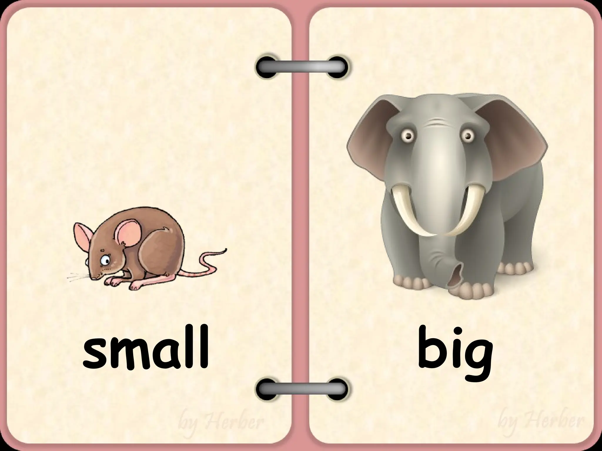 Adjective - opposites-ppt-flashcards-picture-dictionaries_74328.pptx