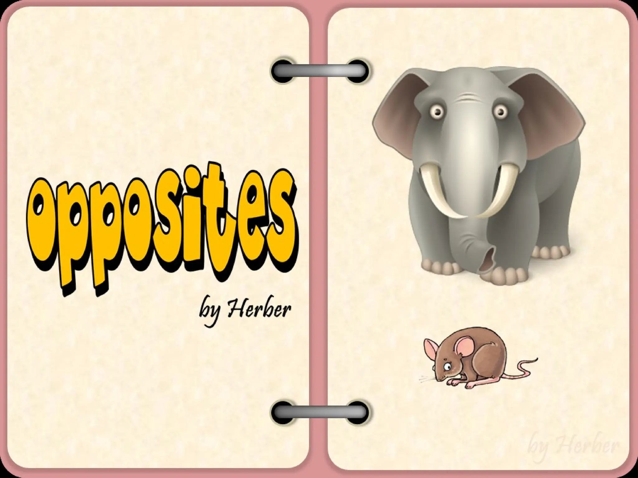 Adjective - opposites-ppt-flashcards-picture-dictionaries_74328.pptx