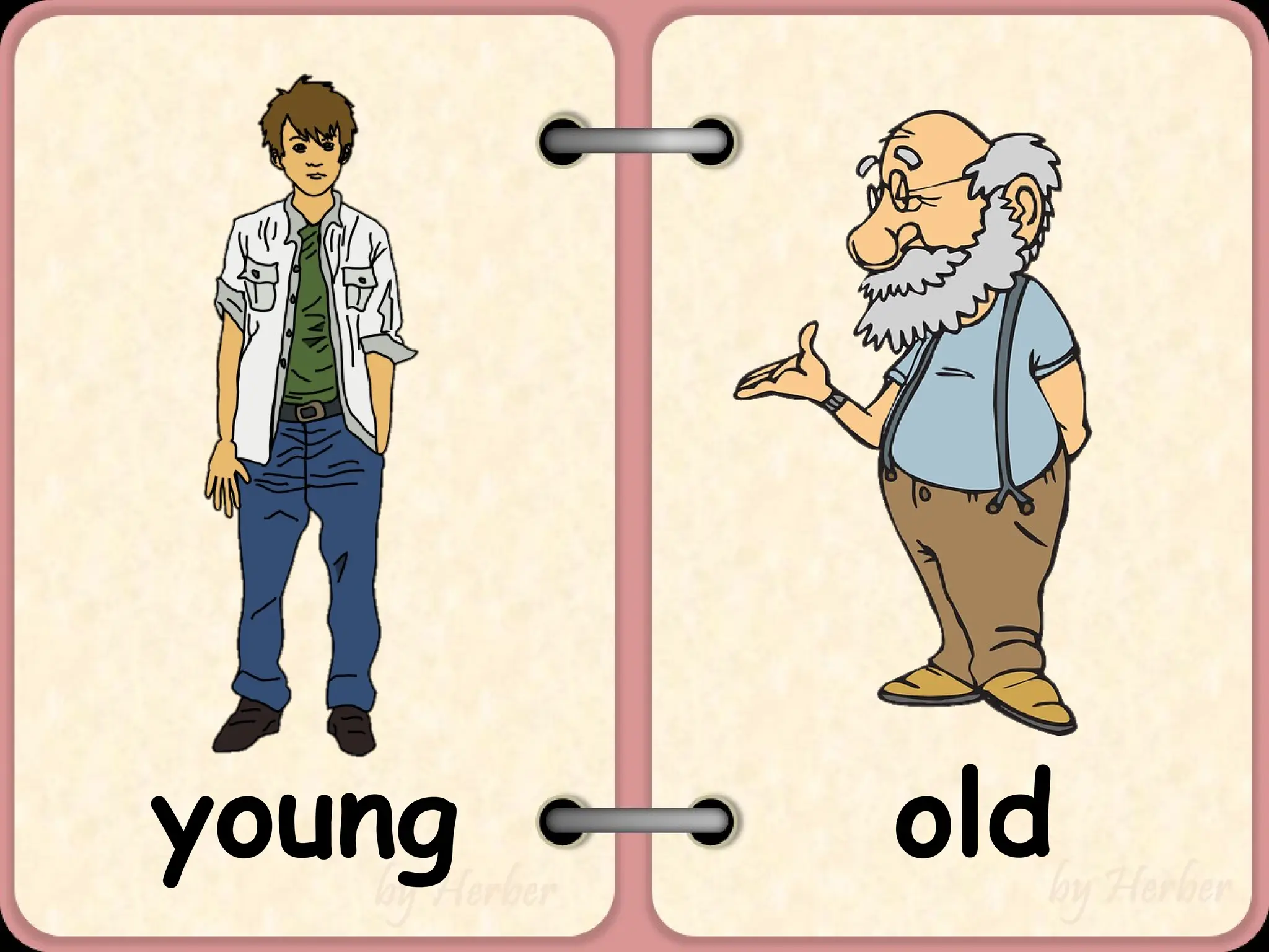 Adjective - opposites-ppt-flashcards-picture-dictionaries_74328.pptx