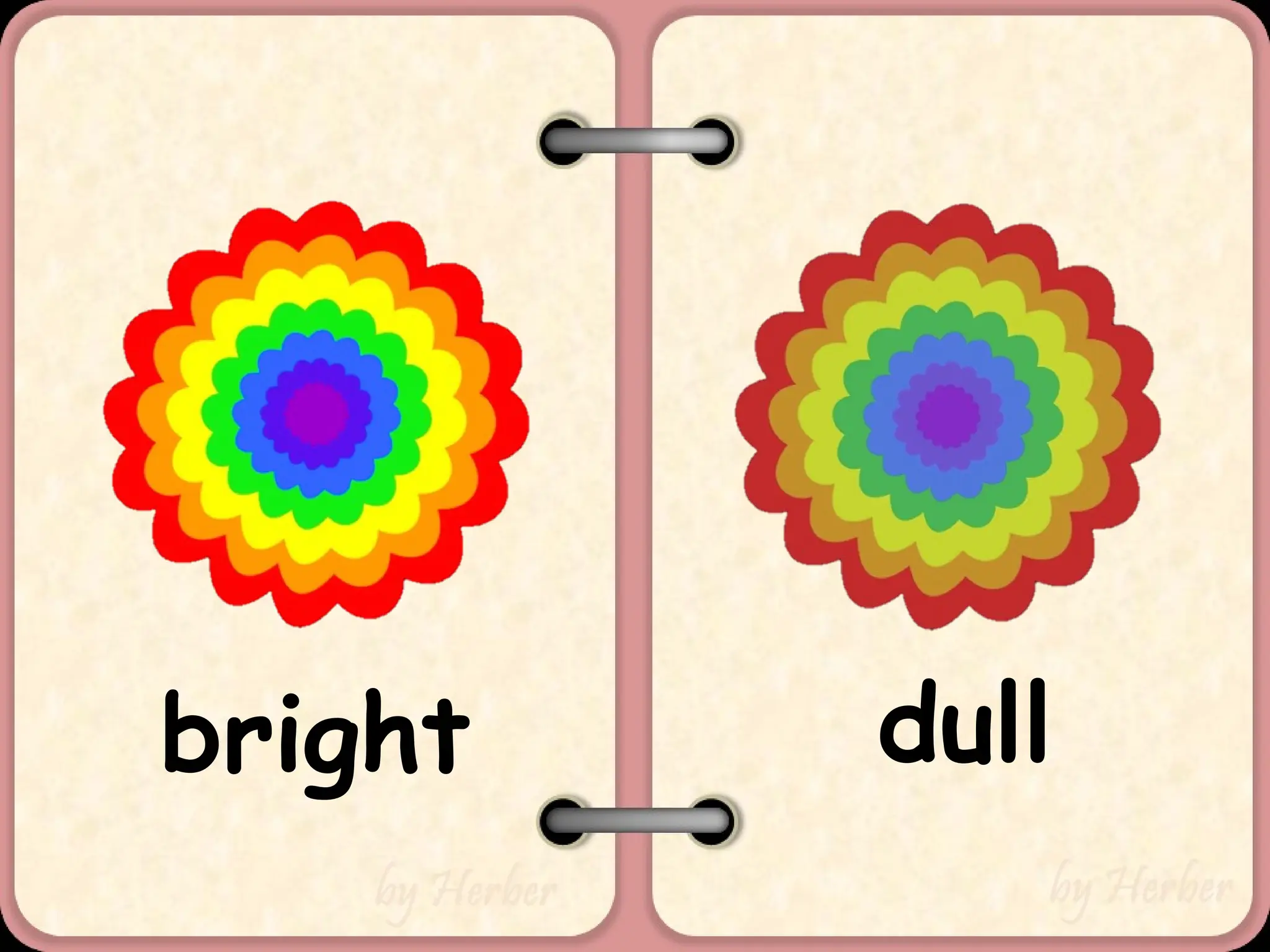 Adjective - opposites-ppt-flashcards-picture-dictionaries_74328.pptx