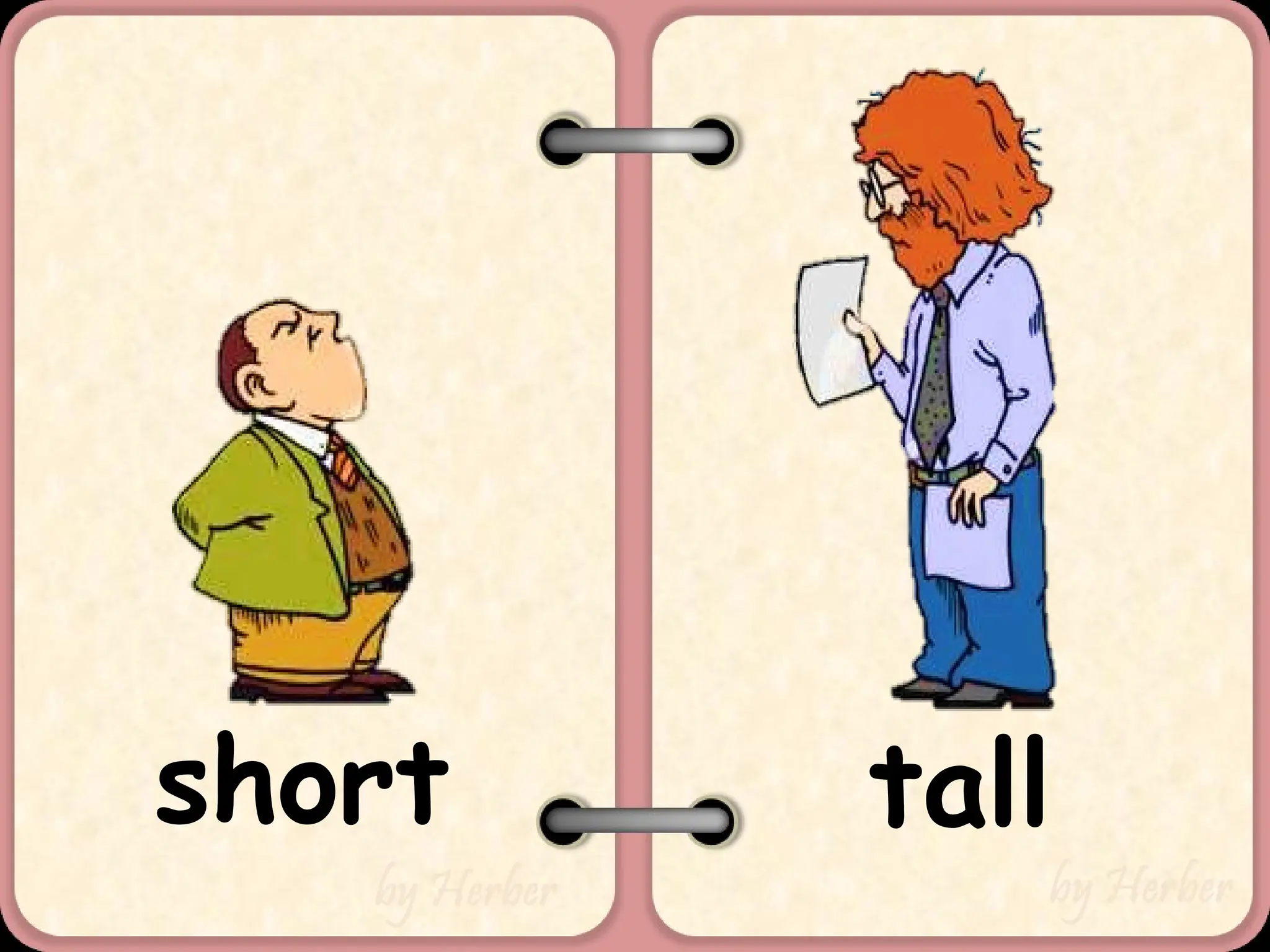 Adjective - opposites-ppt-flashcards-picture-dictionaries_74328.pptx